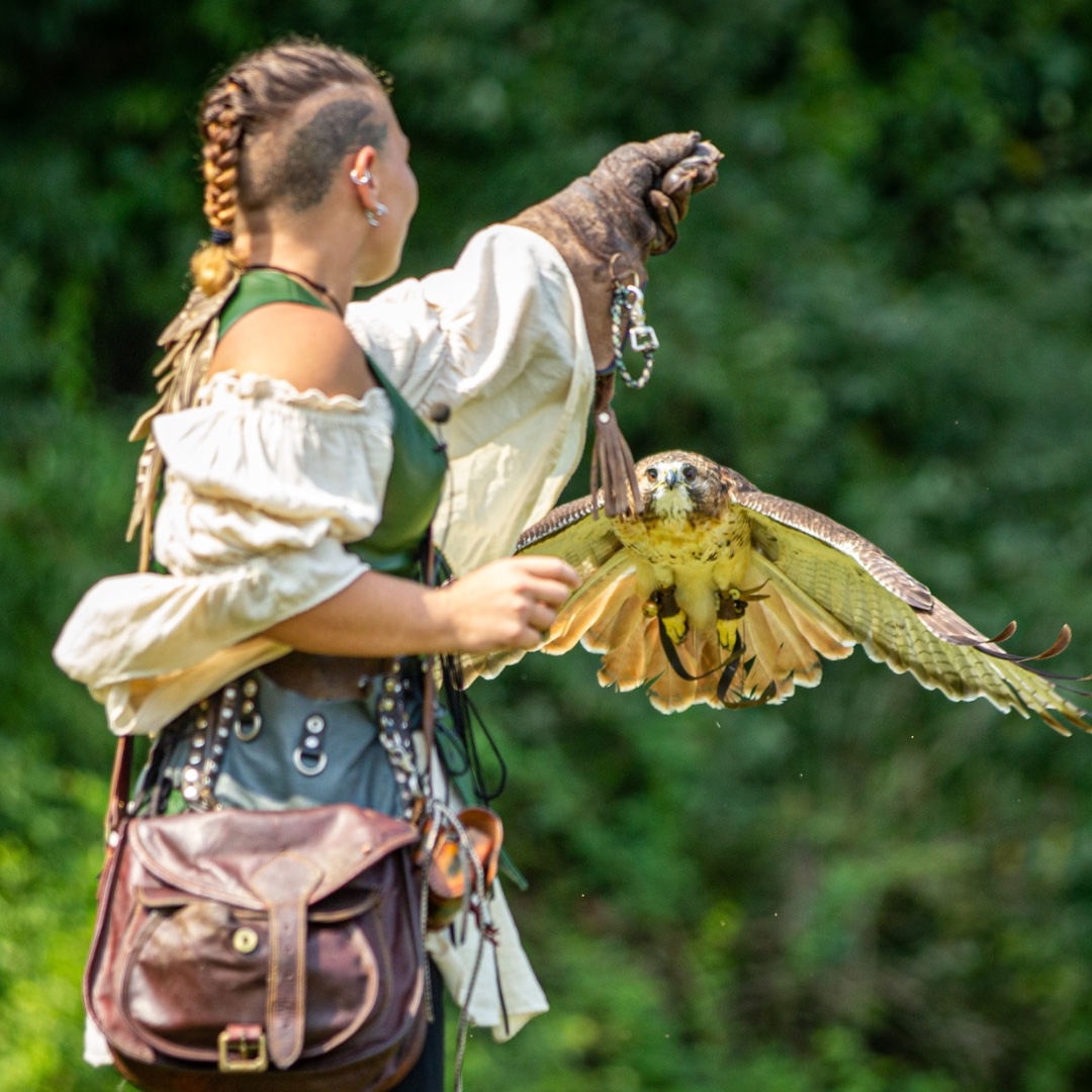 Shows – The Connecticut Renaissance Faire | Family Fun
